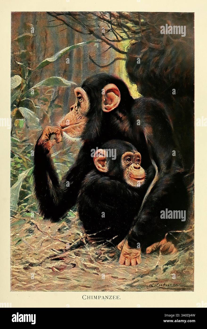 Pair embodies hi-res stock photography and images - Alamy