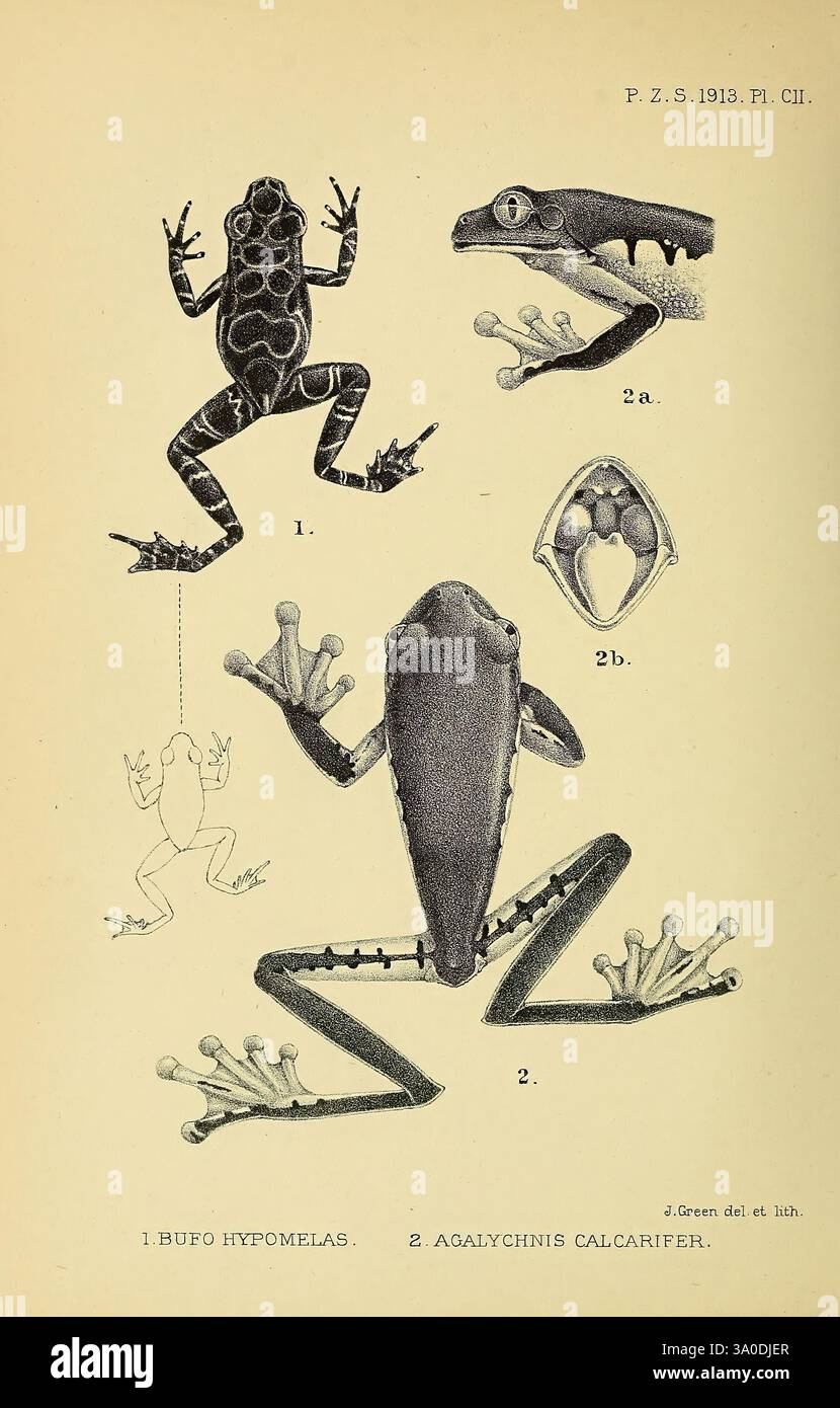 Proceedings of the Zoological Society of London, London, Academic Press ...