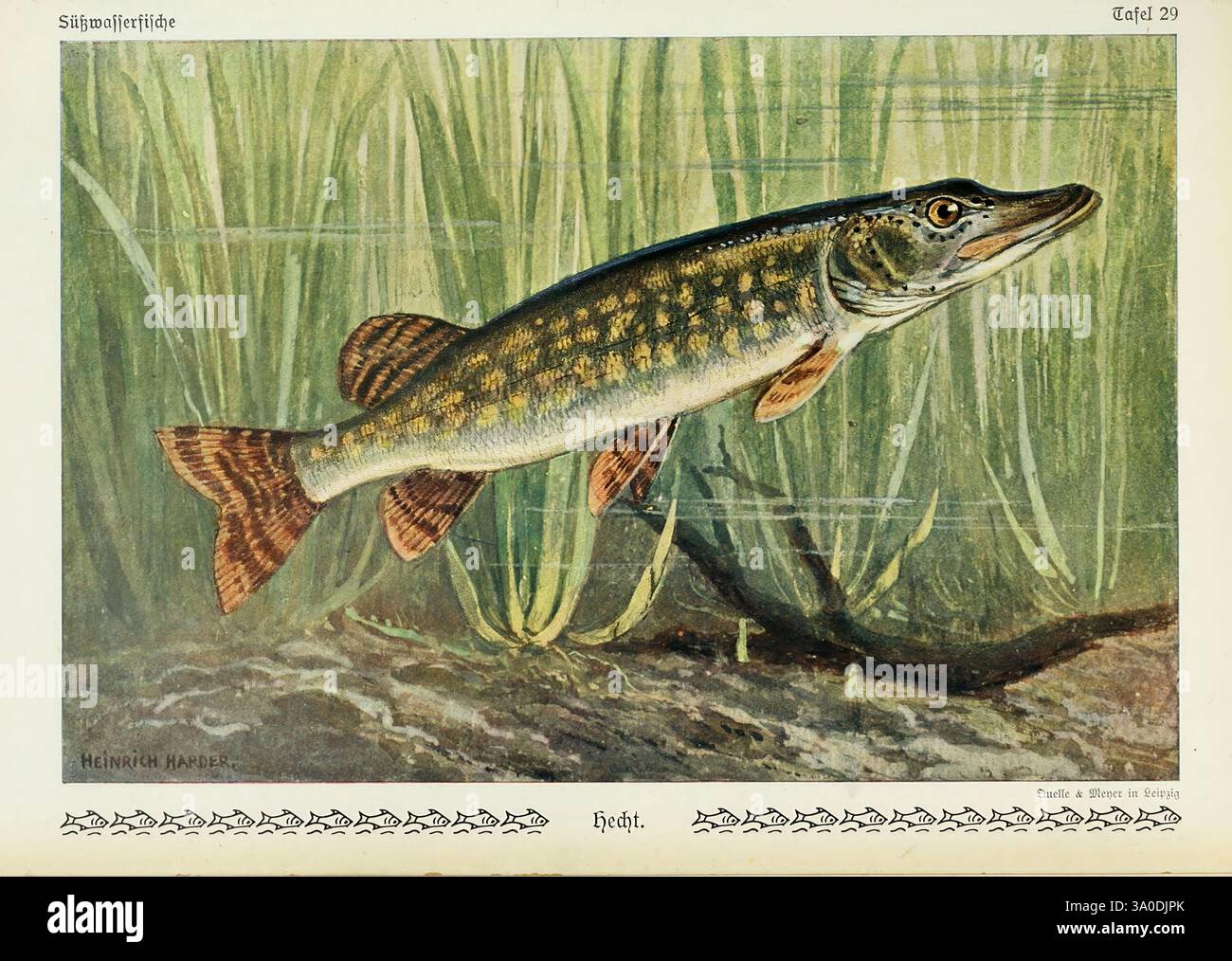 Underwater substrate add depth hi-res stock photography and images - Alamy