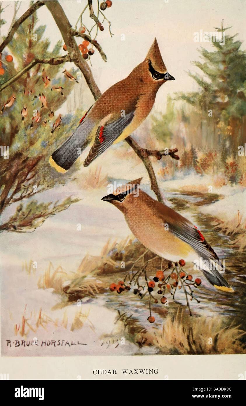 Exhibit subtle shades of gray hi-res stock photography and images - Alamy