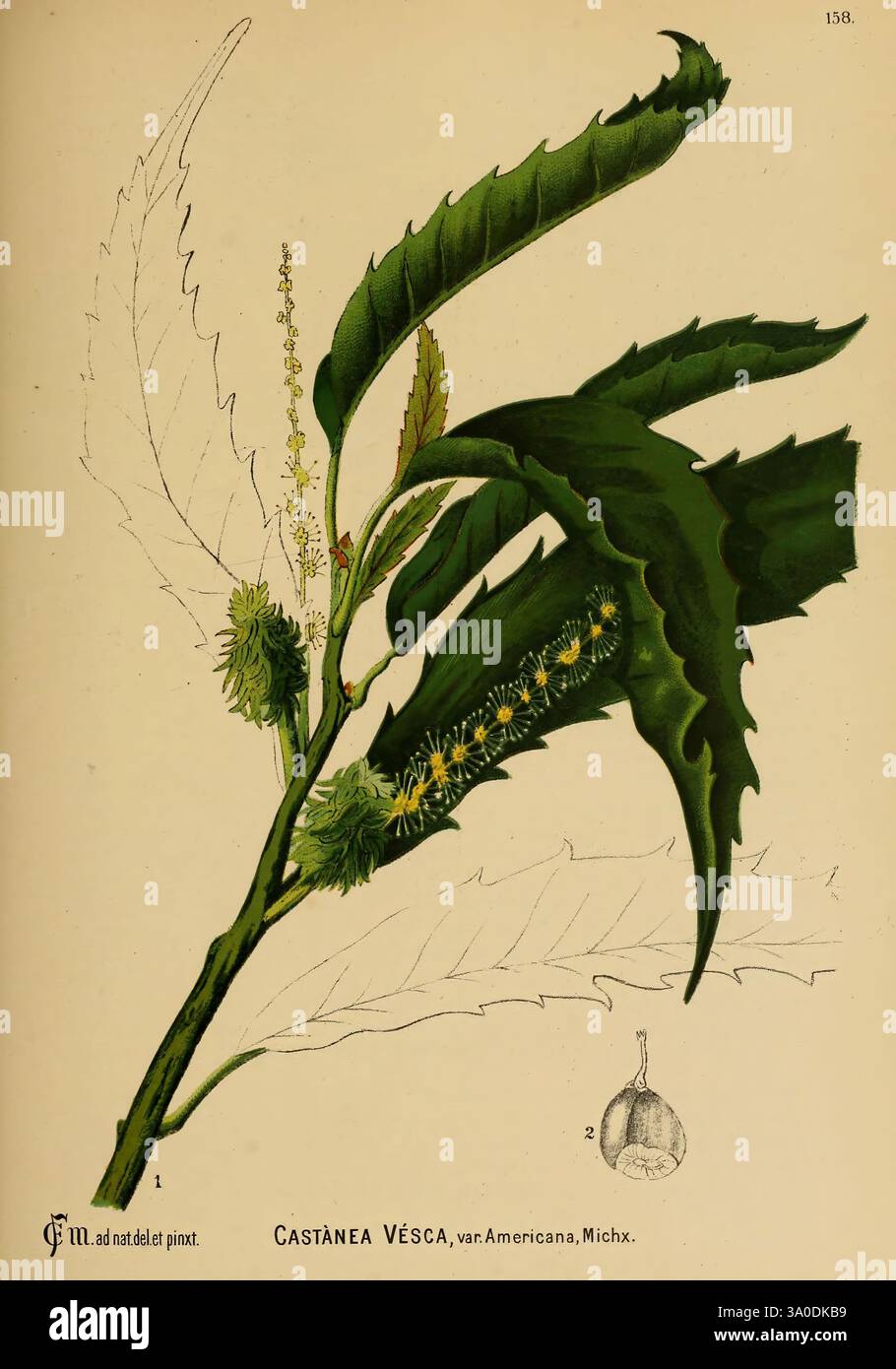 Stylized representation indicate hi-res stock photography and images ...