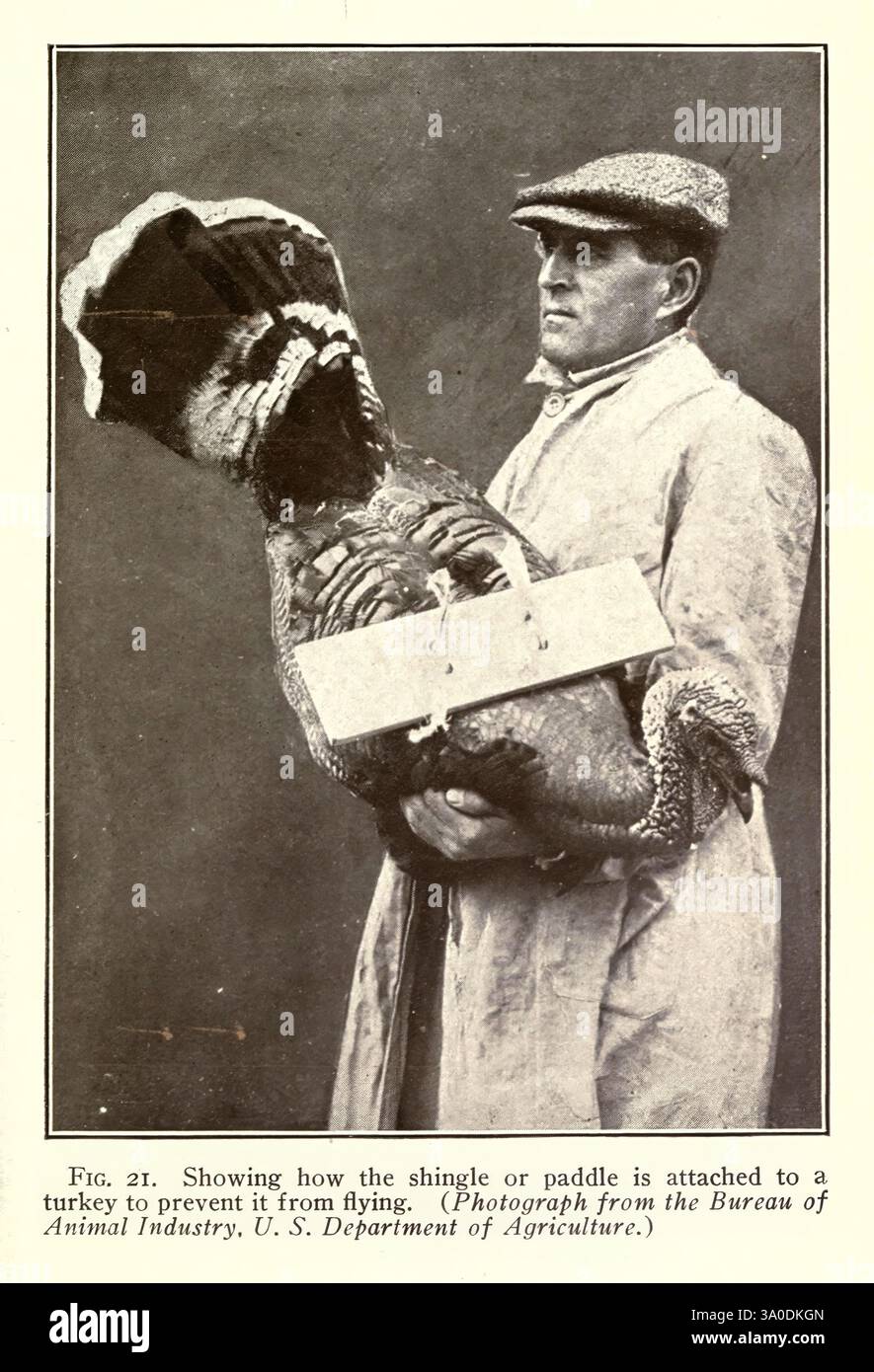 Mans focused expression hi-res stock photography and images - Alamy