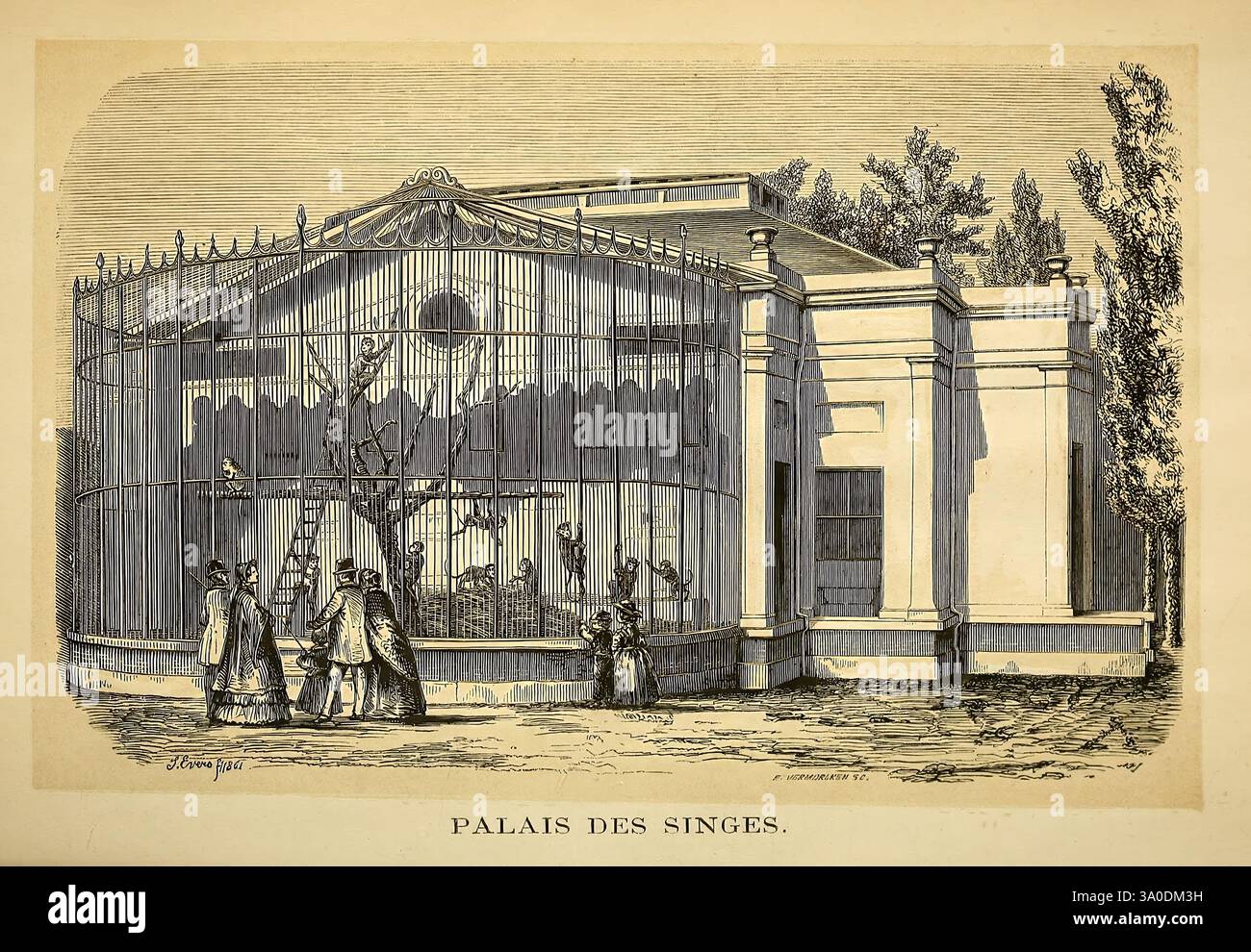 Buildings design hints hi-res stock photography and images - Alamy