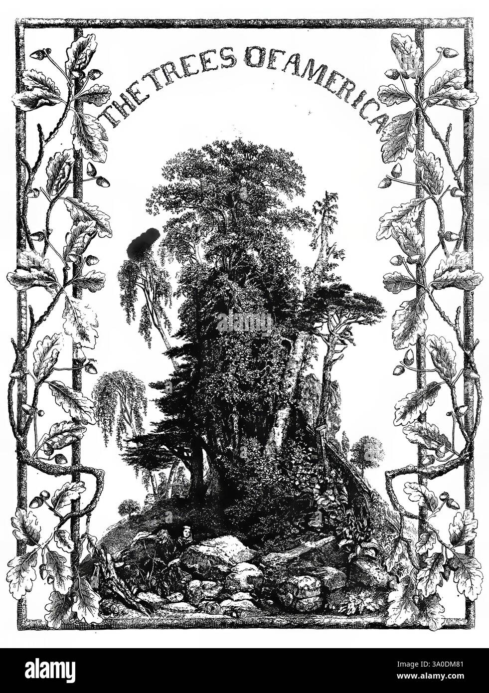 Featuring intricate ornamental elements Cut Out Stock Images & Pictures ...