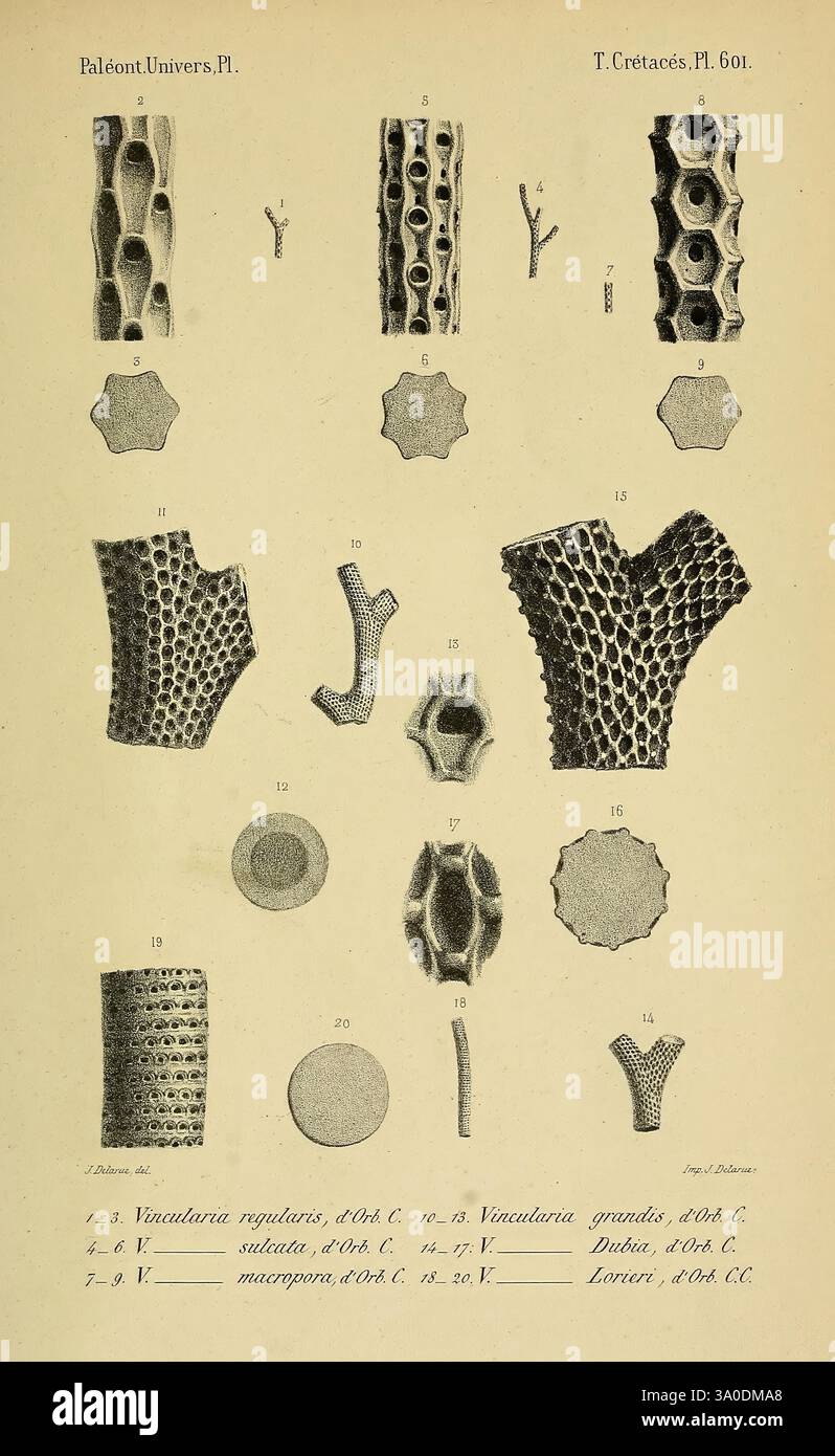 Numbered section showcases unique forms hi-res stock photography and ...