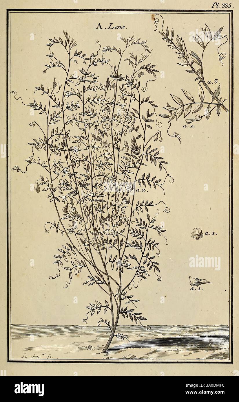 Les figures des plantes et animaux d'usage en medicine, Paris, Desprez ...