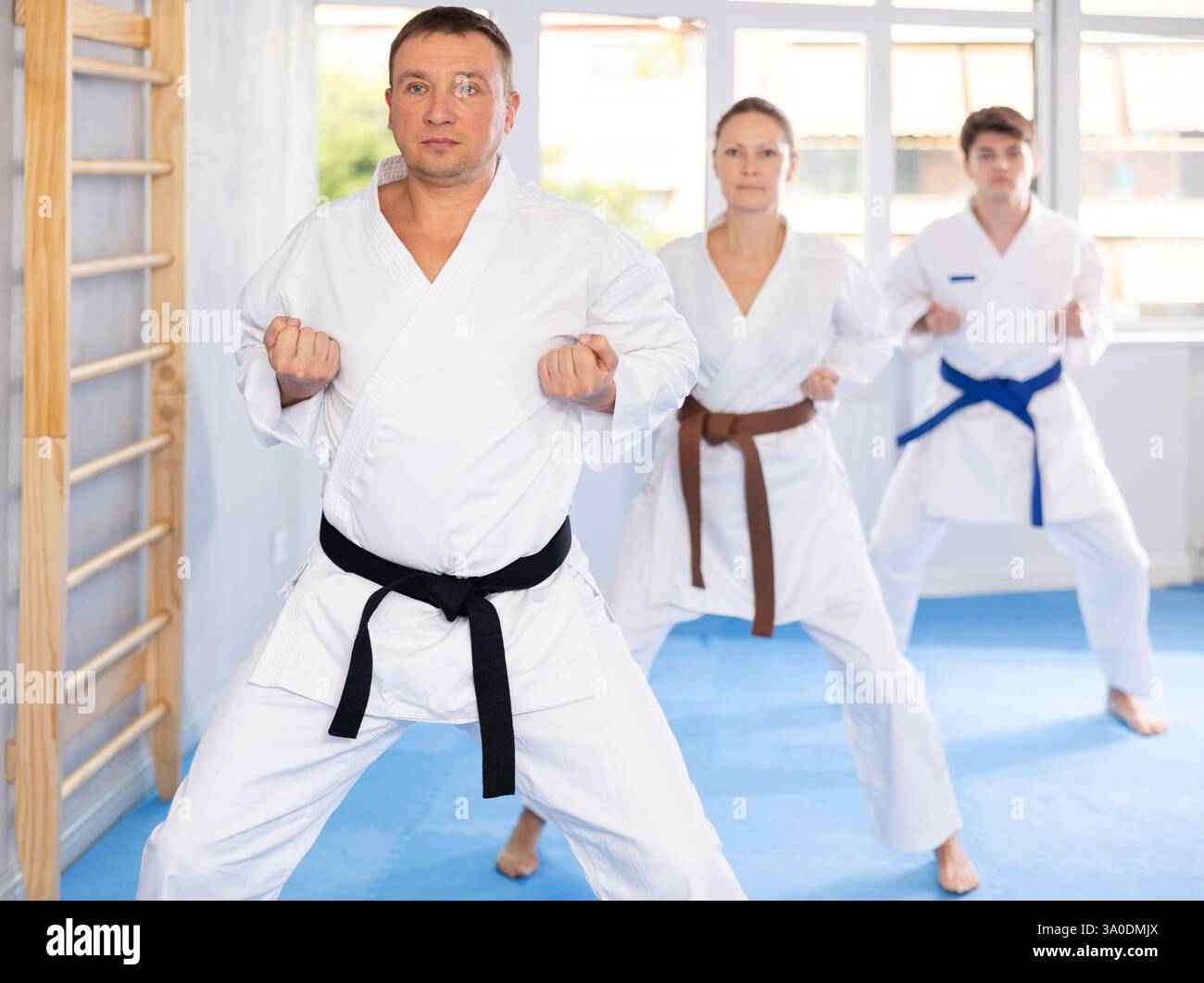 Athletes have starting position and repeating sequence of punches and ...