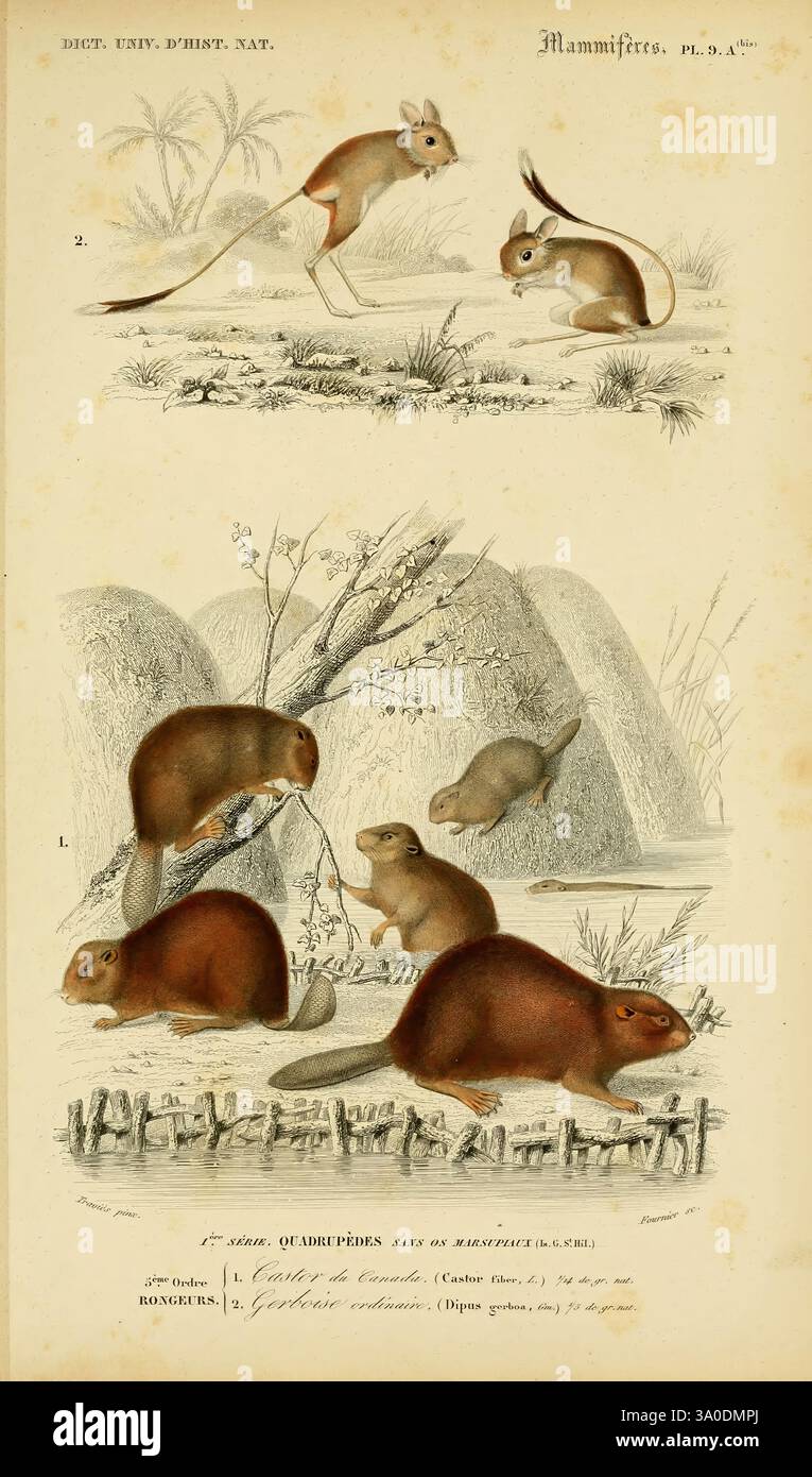 Background engage in various activities hi-res stock photography and ...