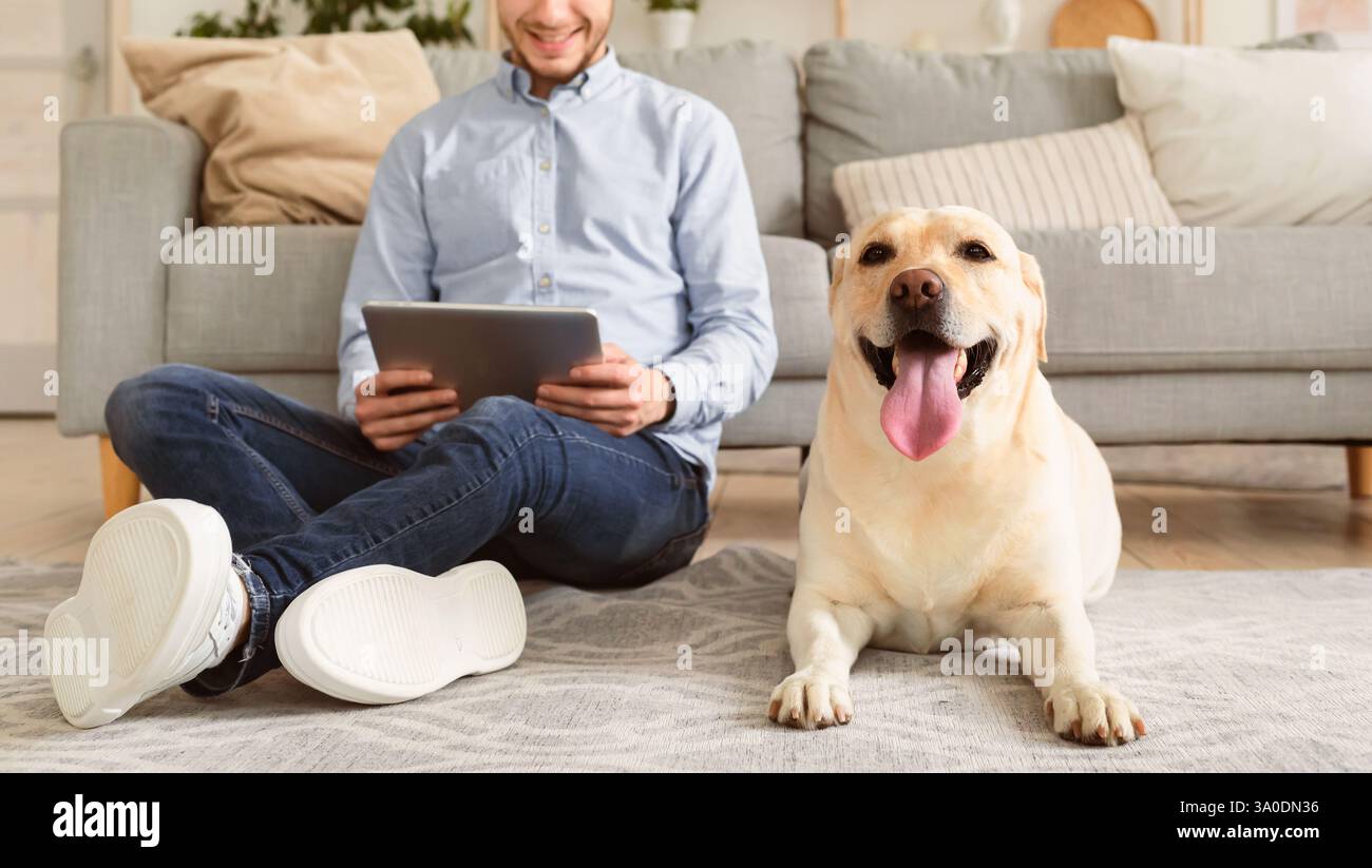 Digital device golden retriever dog with digital tablet hi-res stock ...
