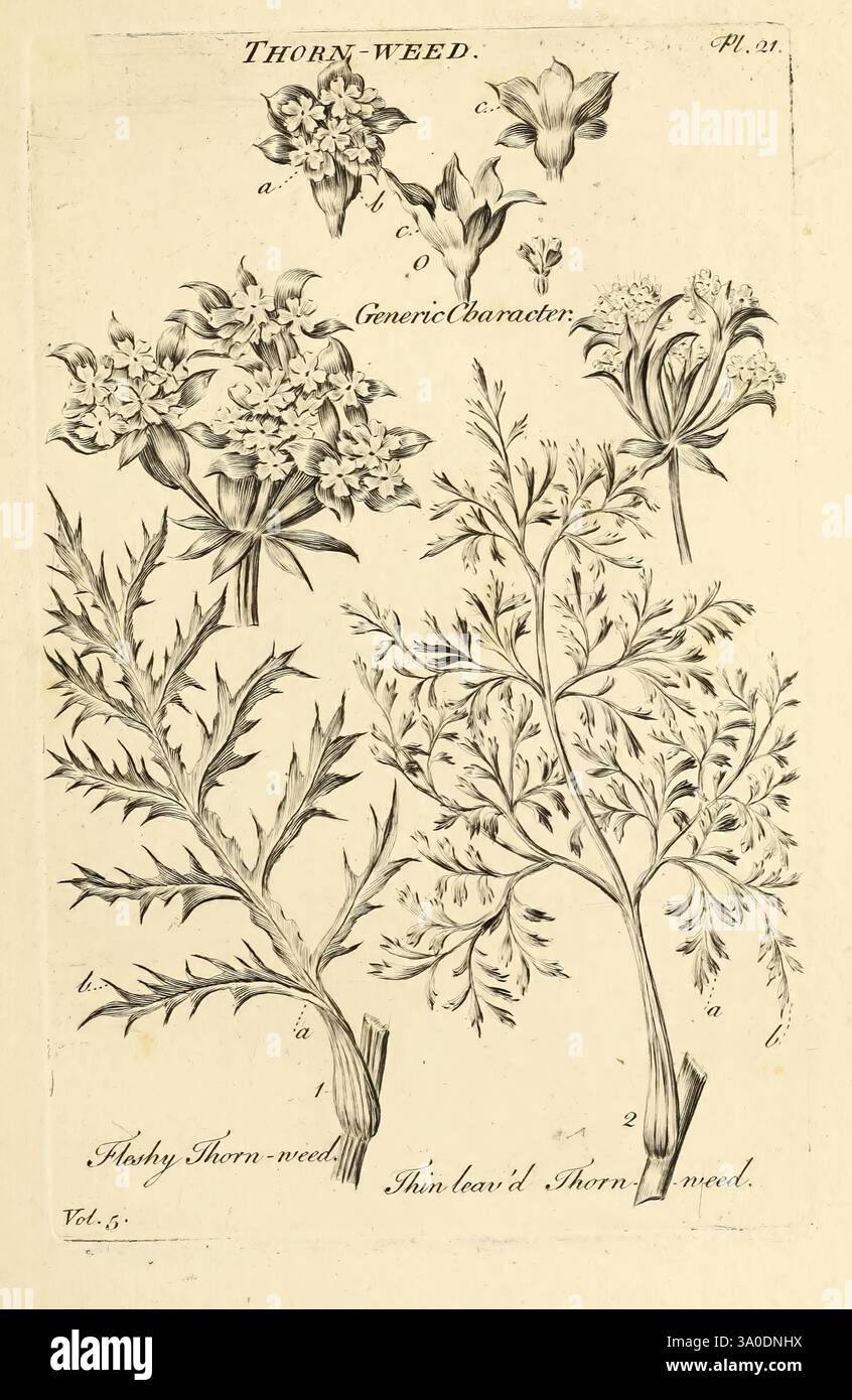 The vegetable system, London, 1759-1763, botany, pictorial works., The ...