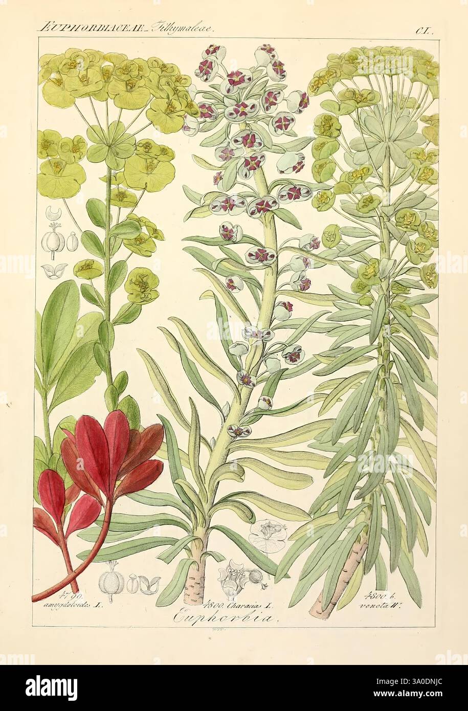 Rounded shapes emerges hi-res stock photography and images - Alamy