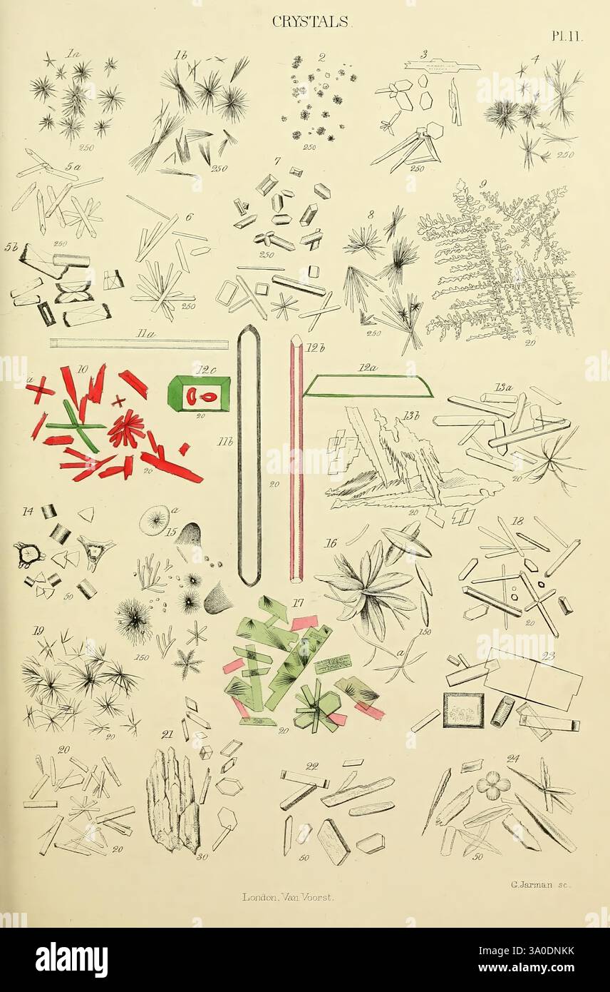 The micrographic dictionary, London, J. Van Voorst, 1883, dictionaries ...