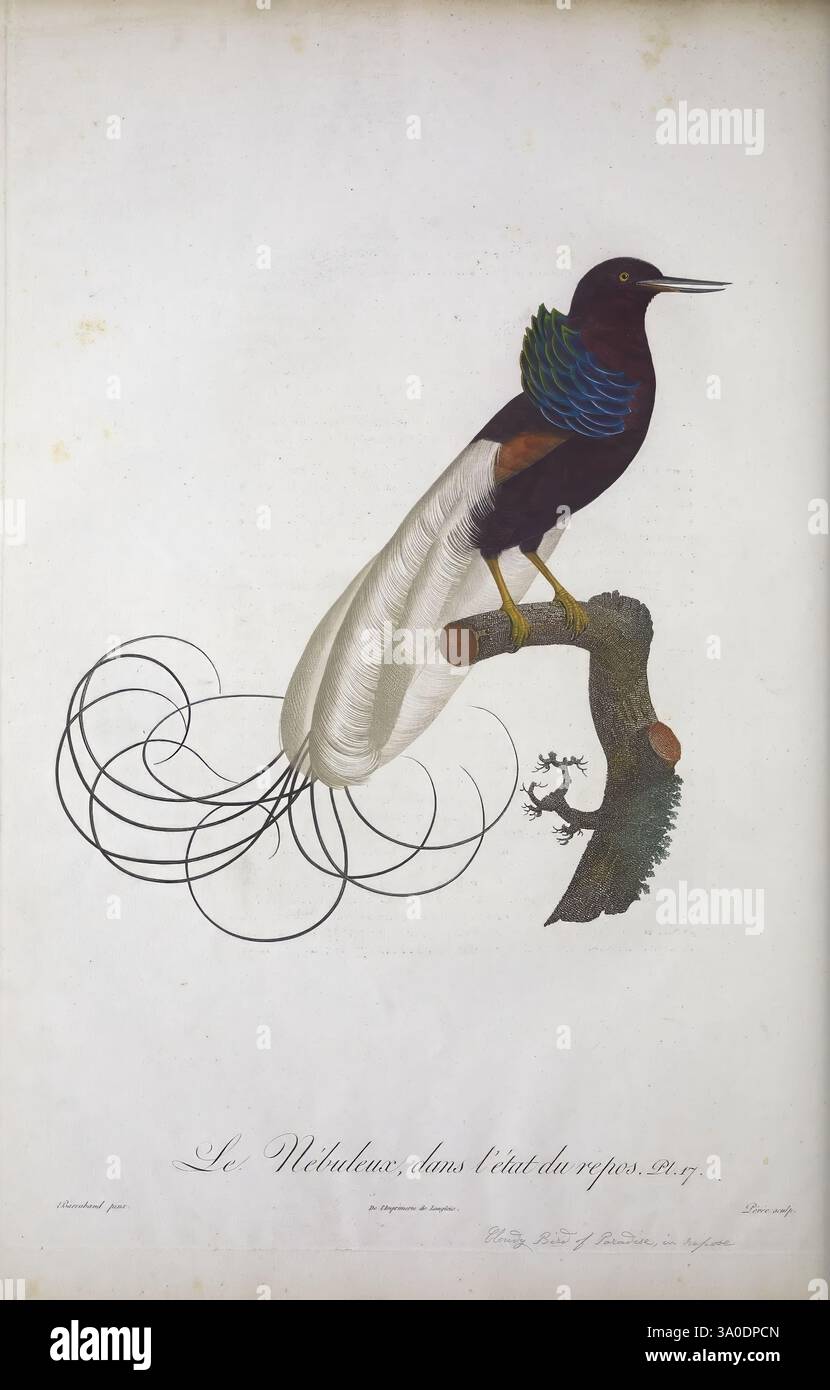 Handwritten title adds hi-res stock photography and images - Alamy