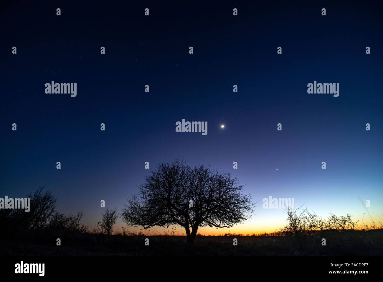 The conjunction of planet Jupiter, from left, the Moon and planet Venus ...