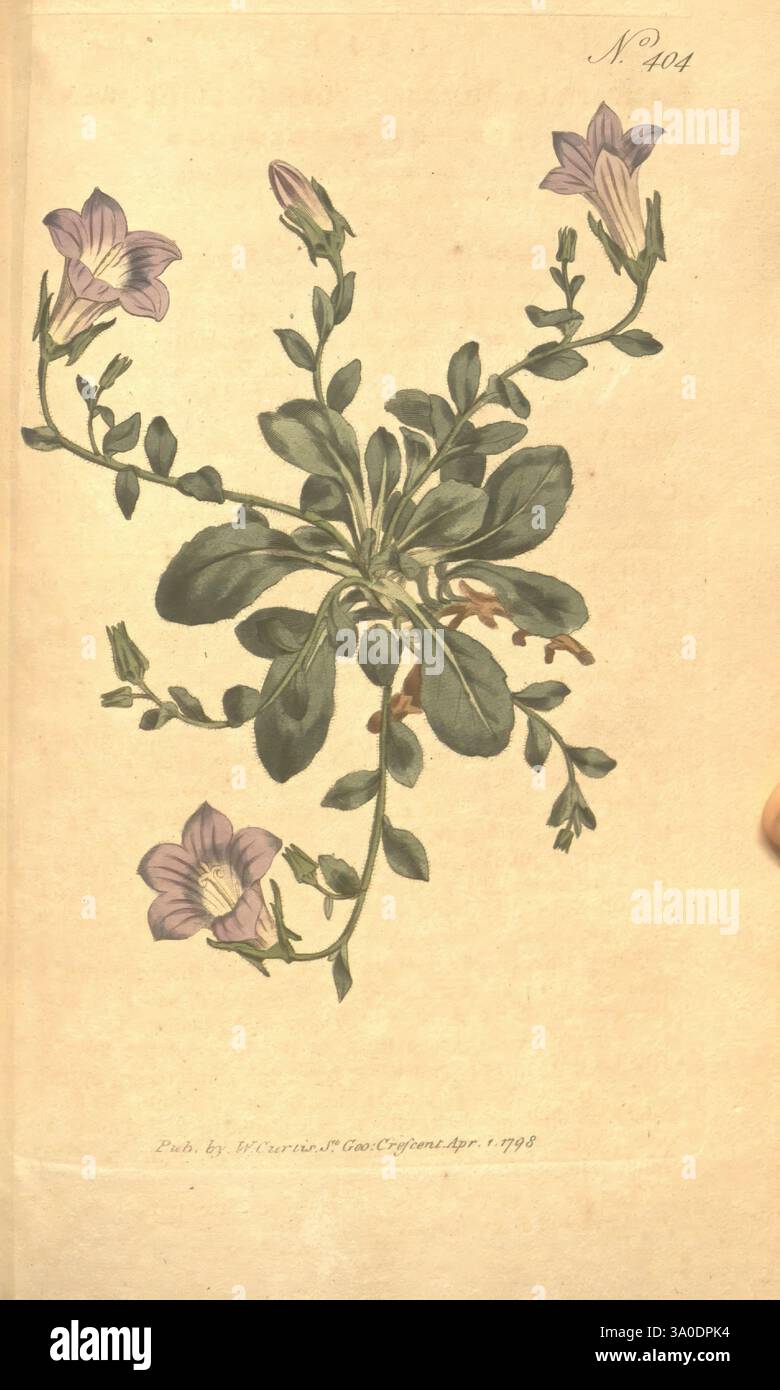 The Botanical Magazine, or Flower-garden Displayed, 1790-1800 Botany ...