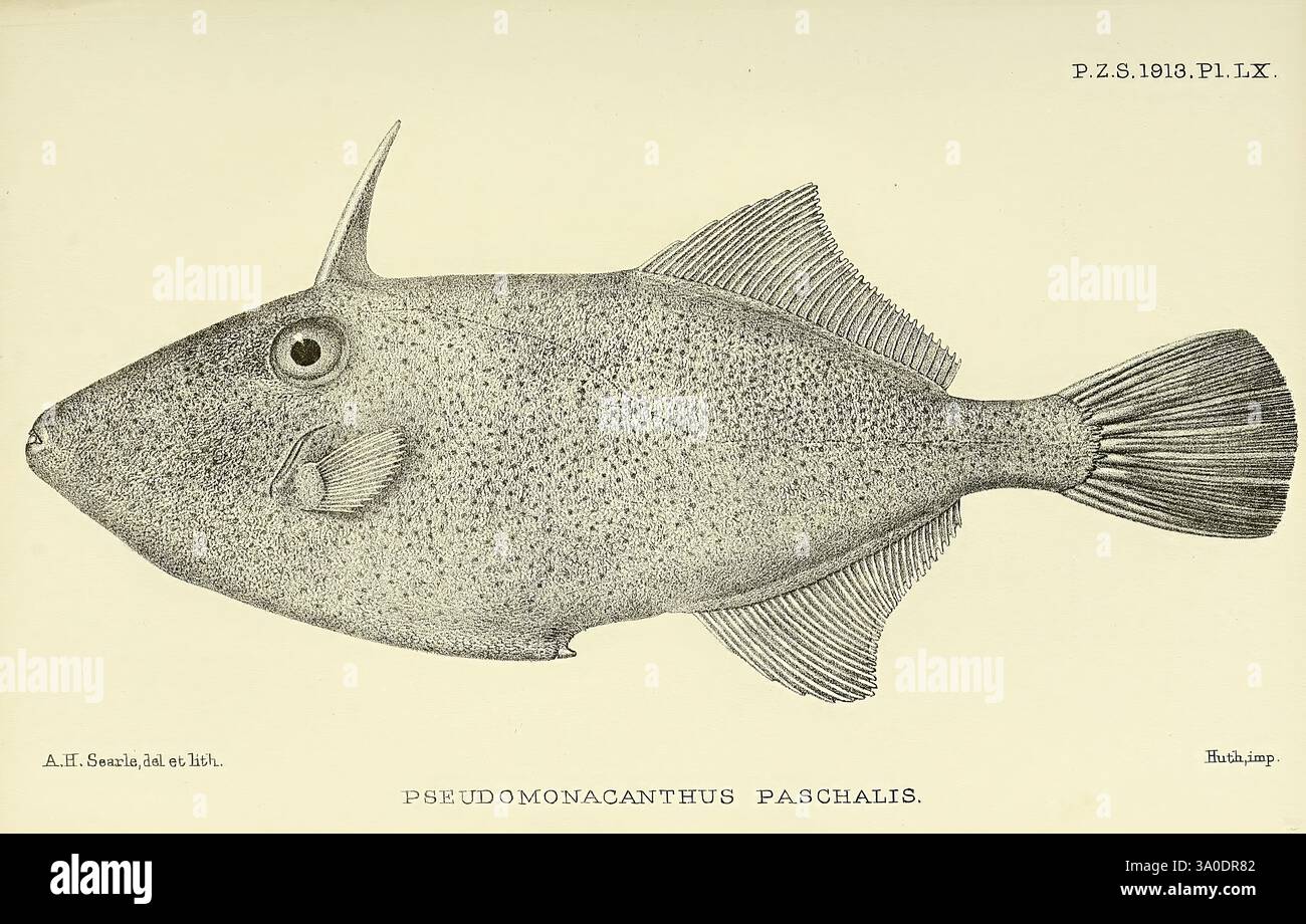 Proceedings of the Zoological Society of London, London, Academic Press ...