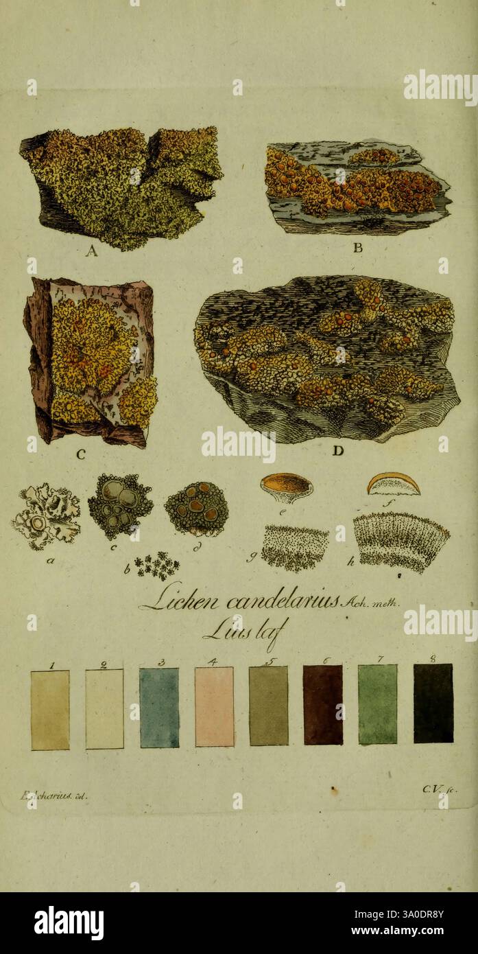 Palette of color swatches provides hi-res stock photography and images ...