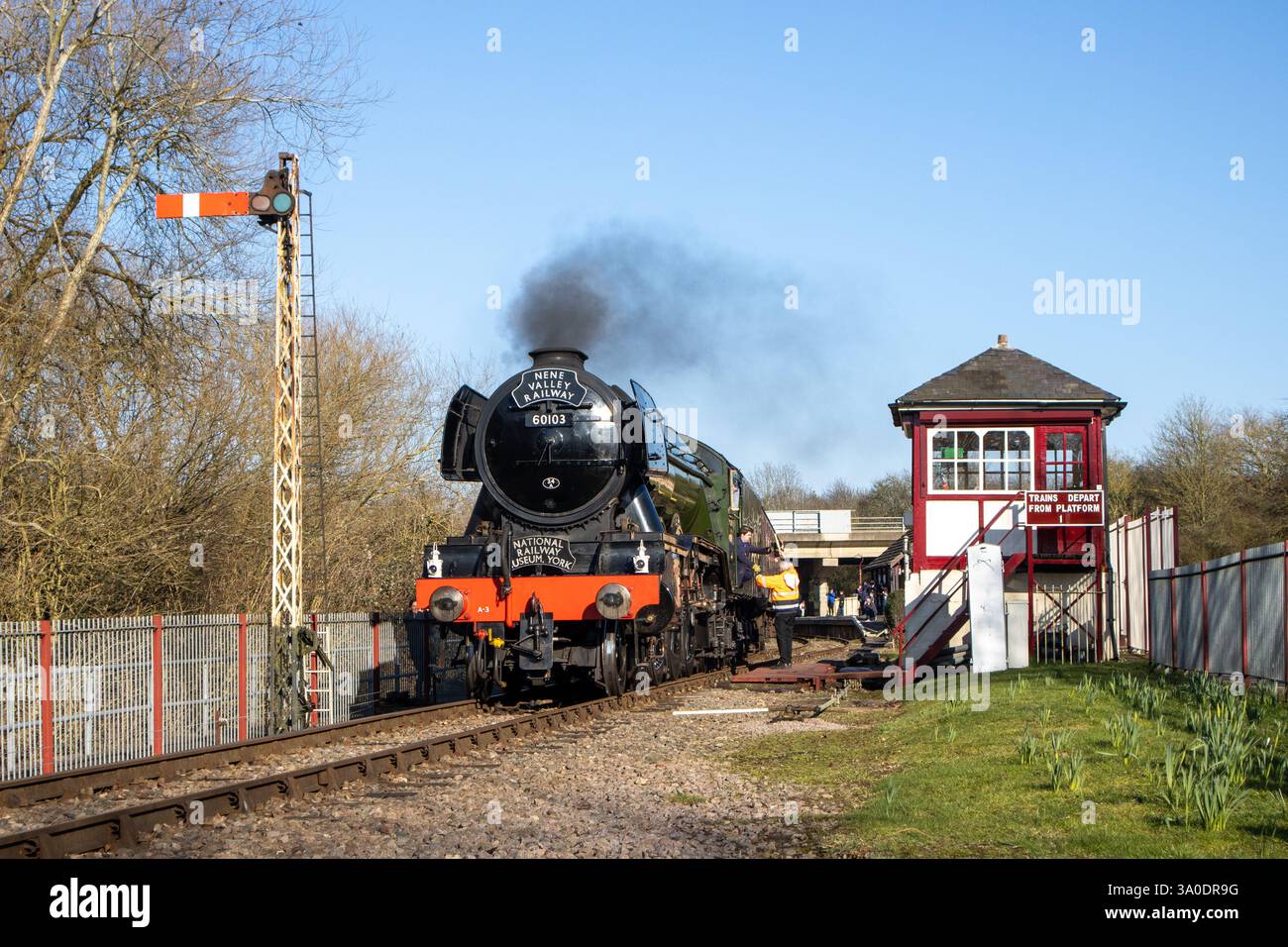 The Flying Scotsman, Gresley A3 Pacific steam train, passing Orton Mere ...