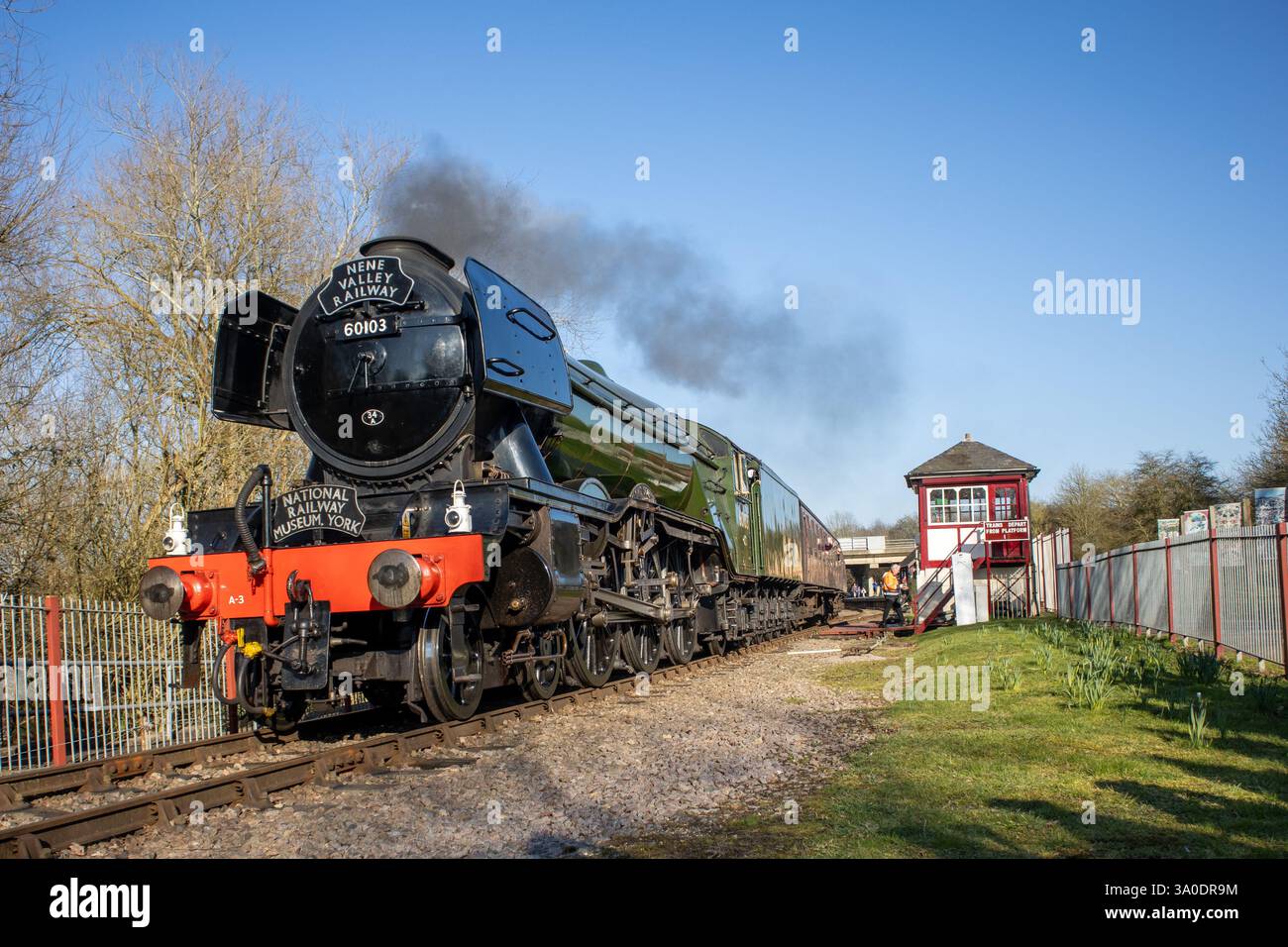 The Flying Scotsman, Gresley A3 Pacific steam train, passing Orton Mere ...