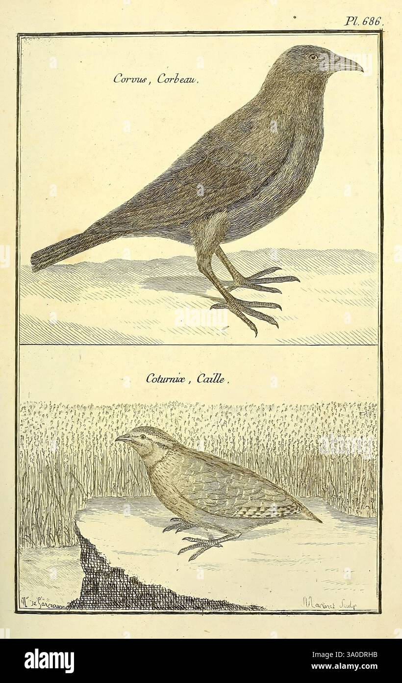 Les figures des plantes et animaux d'usage en medecine Paris Desprez ...
