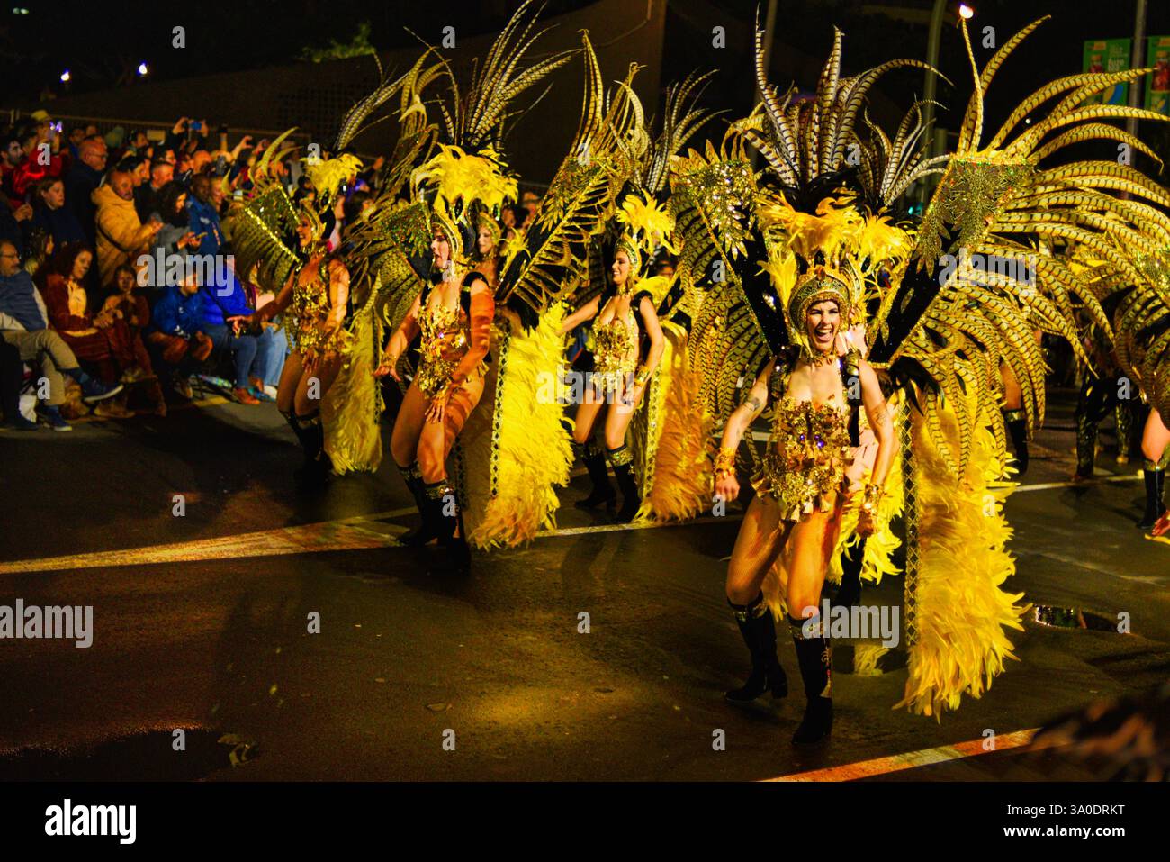 Evening Rhythm and Harmony Parade 2025 Carnaval de Santa Cruz de ...