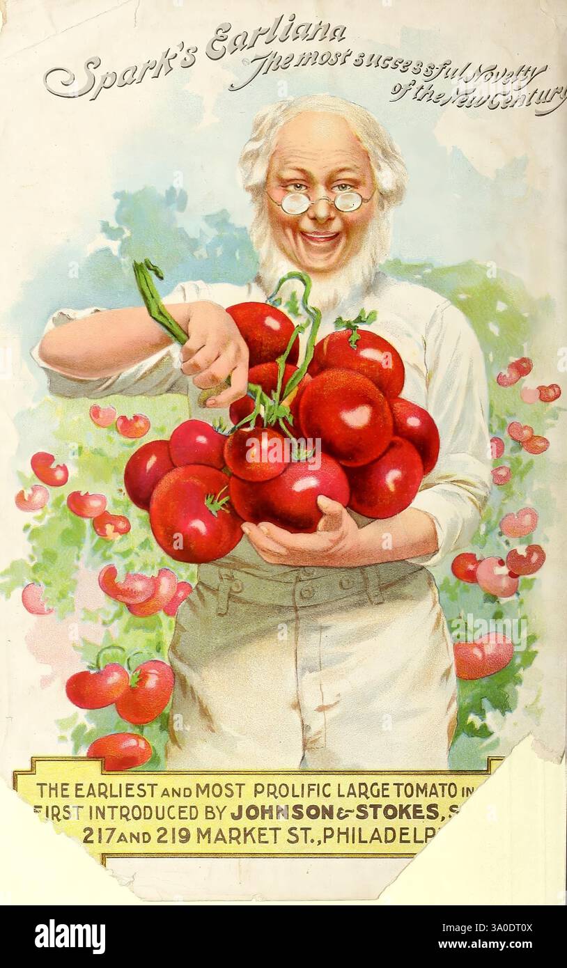 White beard creates hi-res stock photography and images - Alamy