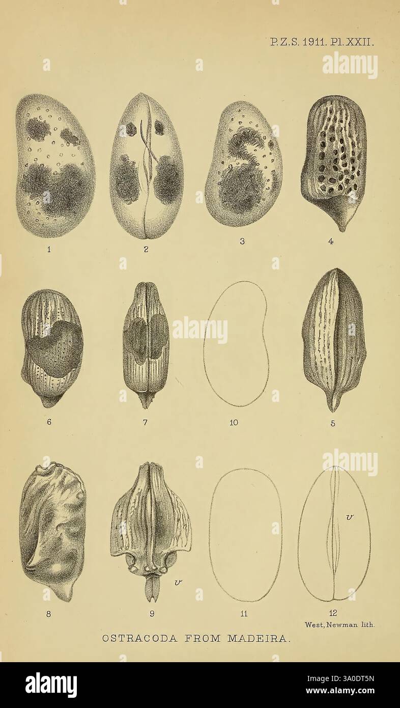 Proceedings of the Zoological Society of London, London, Academic Press ...