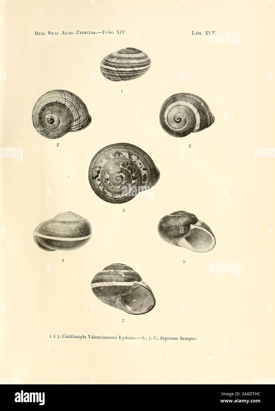 Providing additional examples hi-res stock photography and images - Alamy