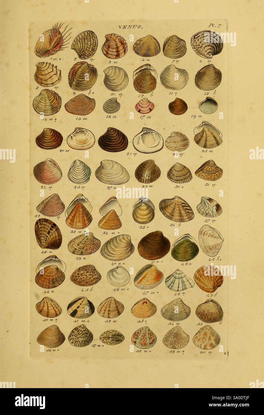 Diverse range of shapes hi-res stock photography and images - Alamy