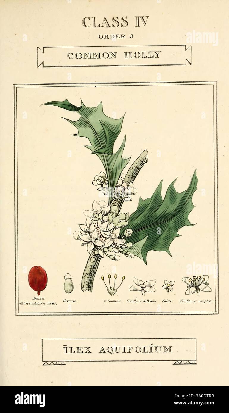 Elements of the Science of Botany, London, Printed by T. Bensley for J ...
