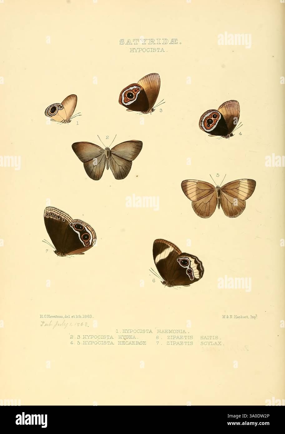 Featuring multiple angles hi-res stock photography and images - Alamy