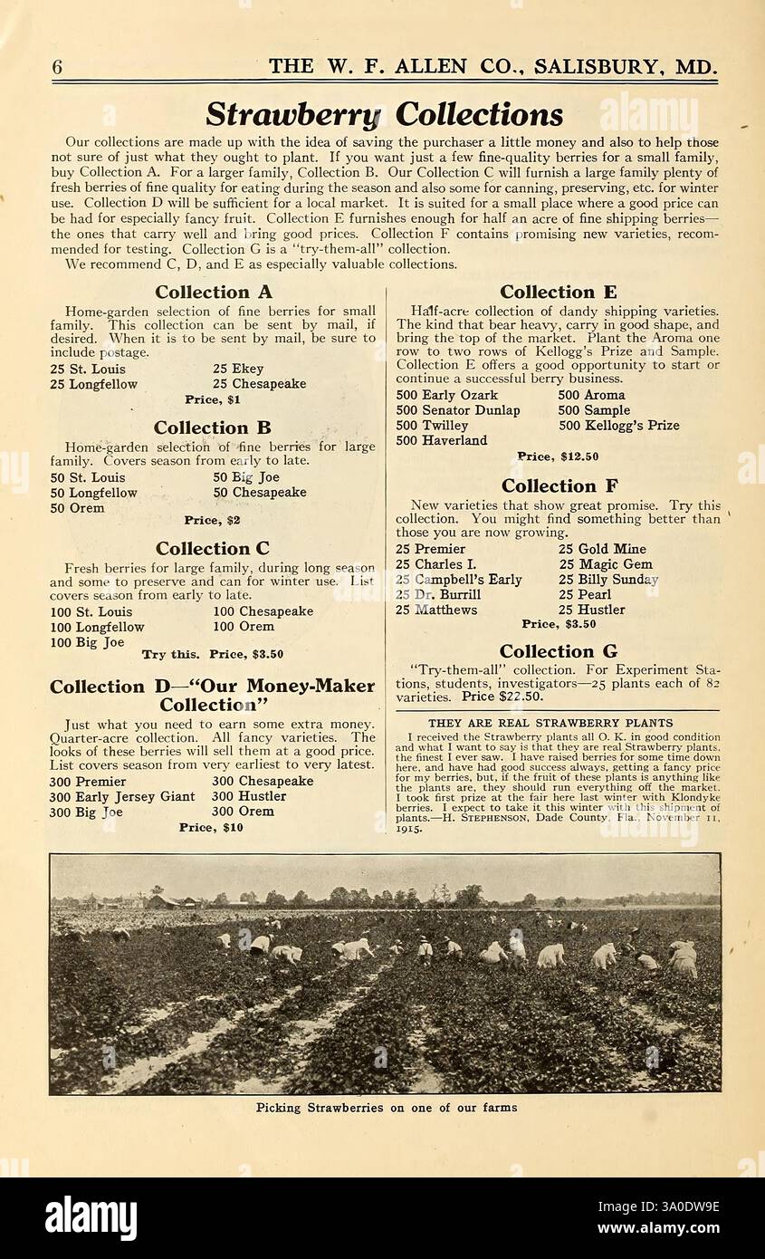 Various strawberry collections hi-res stock photography and images - Alamy