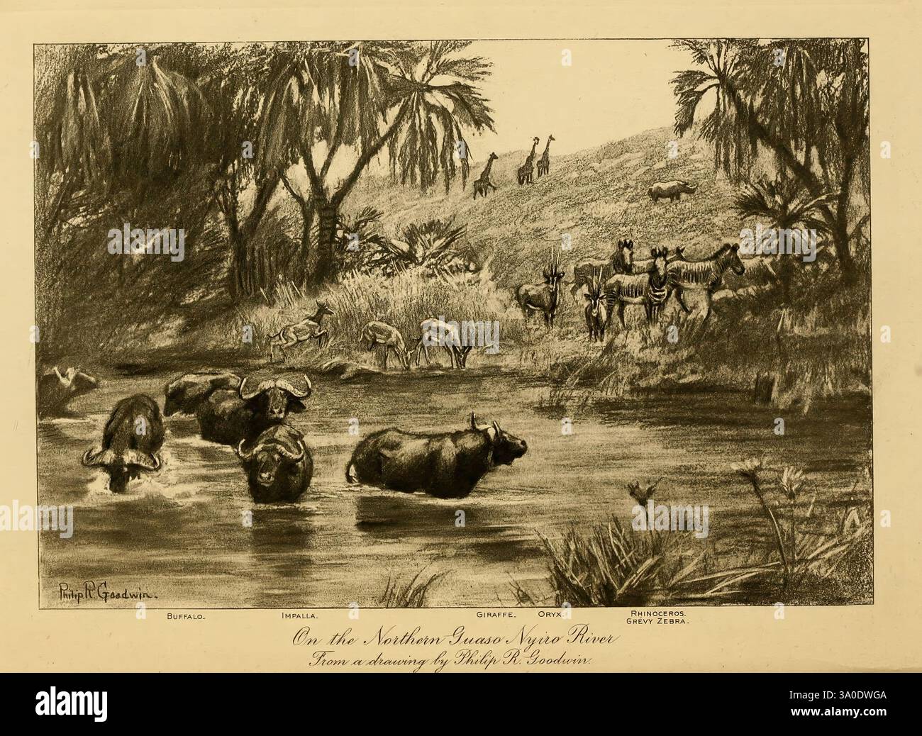 Sturdy forms hi-res stock photography and images - Alamy