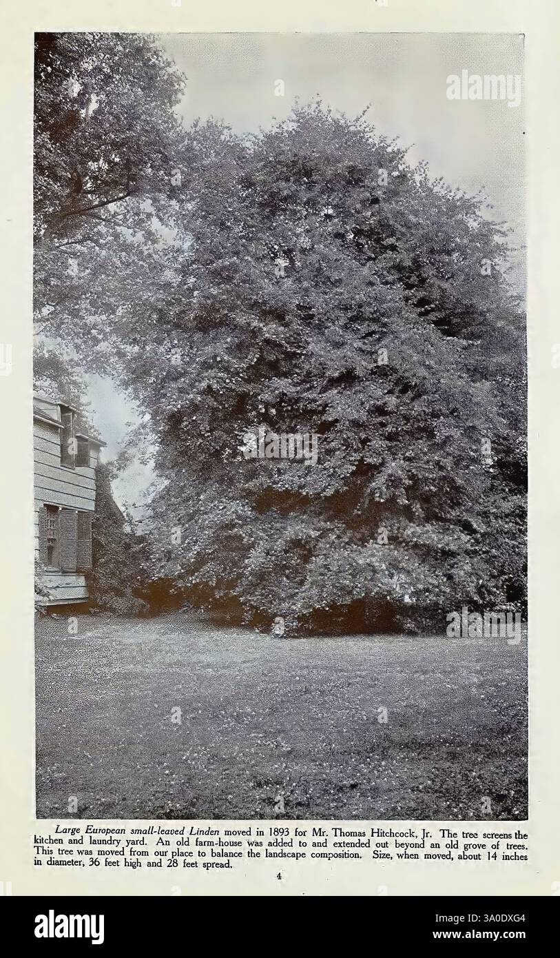 Fruits, Long Island, abridged list, lawn trees, street trees ...