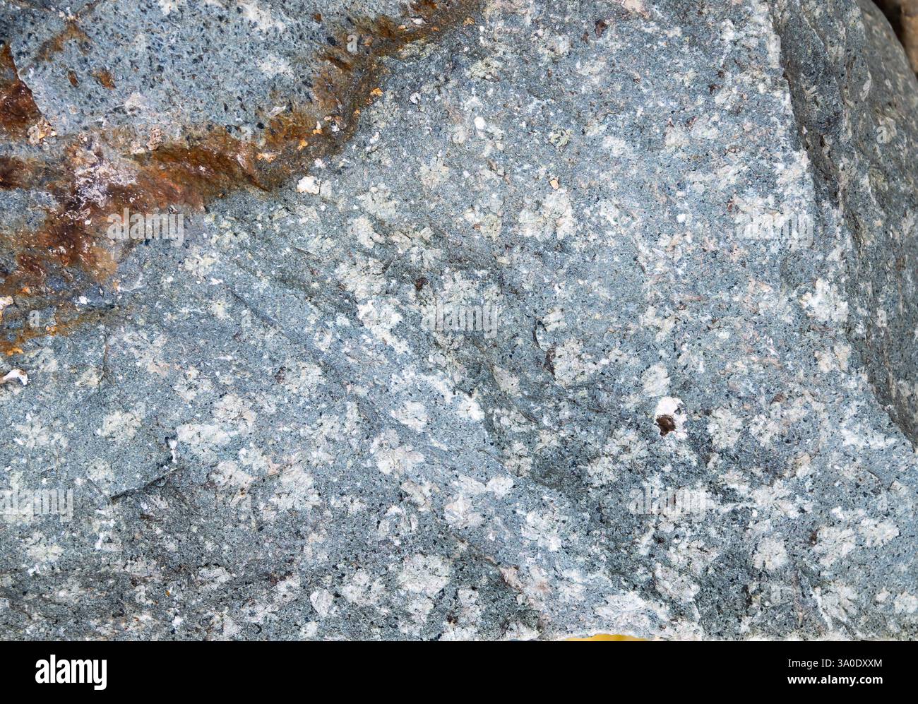 Porphyritic volcanic rock with large crystals of feldspar. Jammu and ...