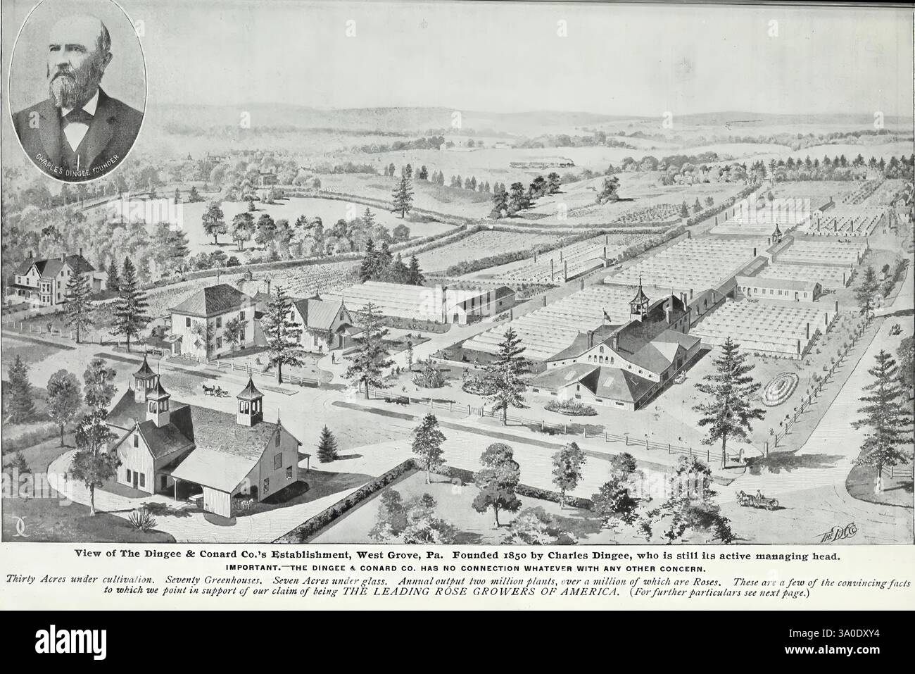 Thriving agricultural operation hi-res stock photography and images - Alamy