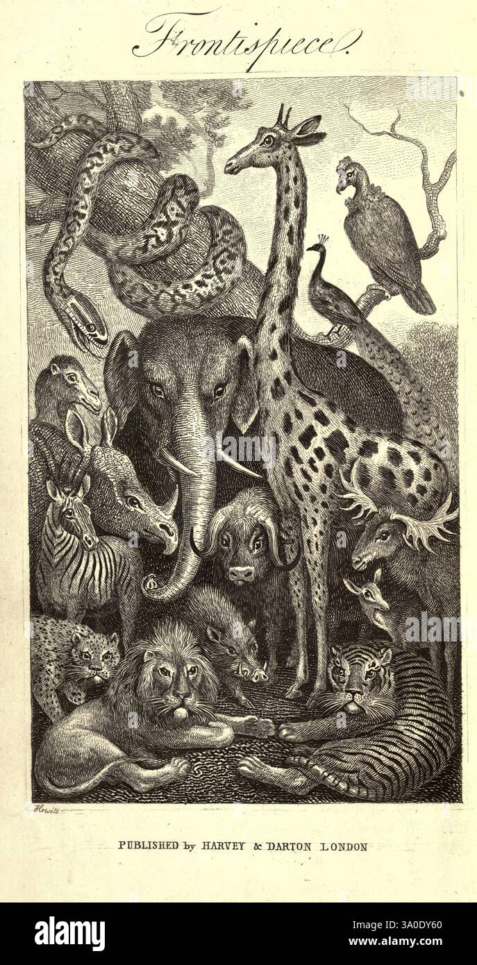 Natural history of animals. London, Harvey and Darton, 1842., A ...