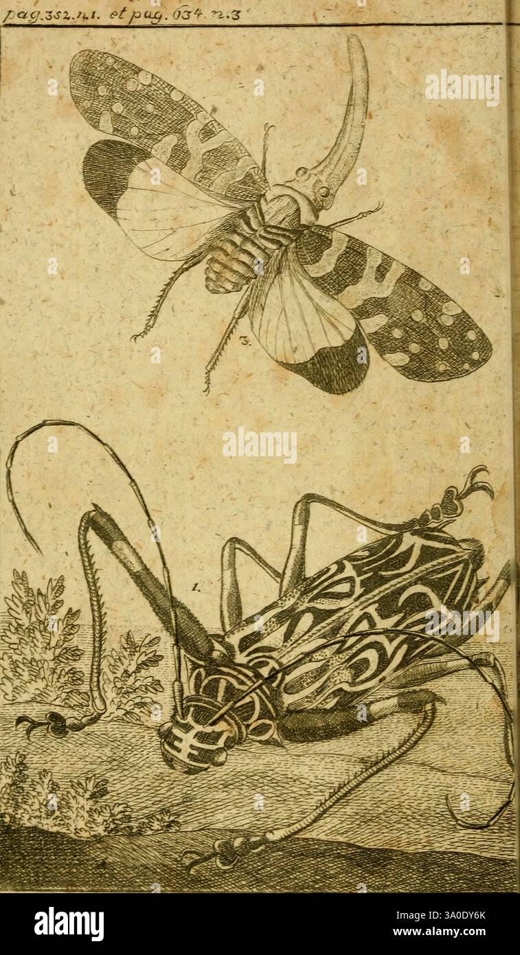 Bei johann heinrich kaven hi-res stock photography and images - Alamy