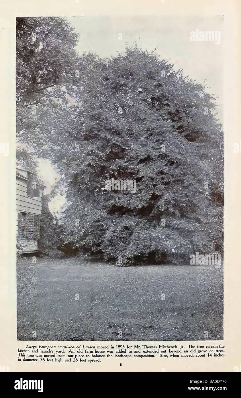 Well maintained landscape featuring hi-res stock photography and images ...