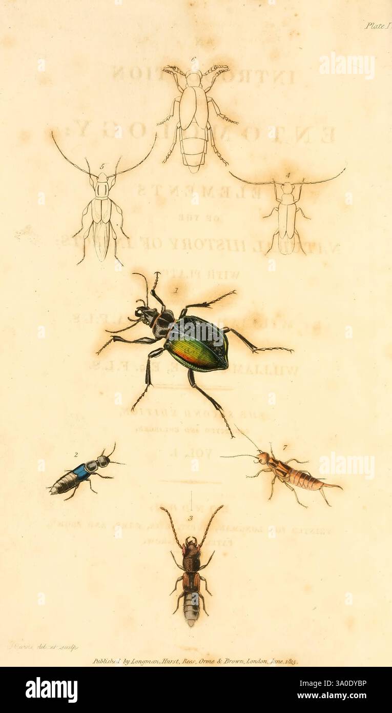 An introduction to entomology, or Elements of the natural history of ...