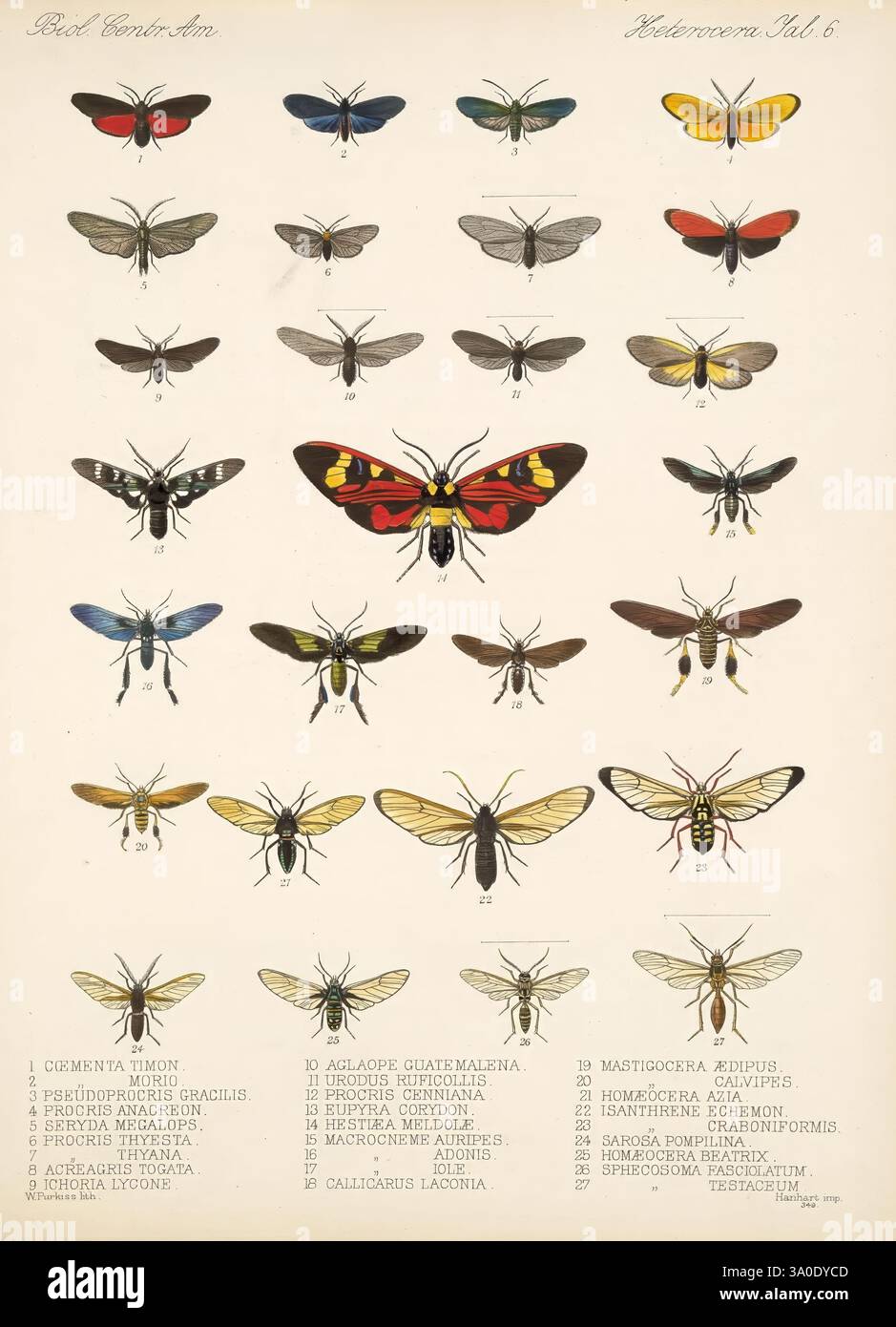 Biologia Centrali-Americana London, 1879-1915, Archaeology, Botany ...
