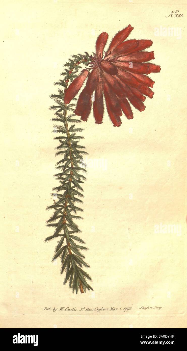 The Botanical magazine, or Flower-garden displayed, 1790-1800 Botany ...