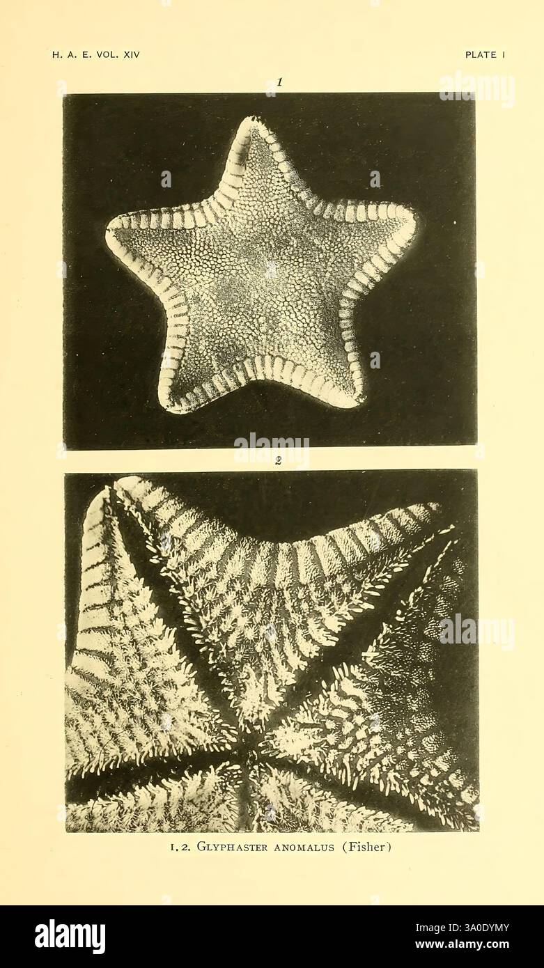 Harriman Alaska series, Washington, 1910-1914. Alaska, Natural History ...