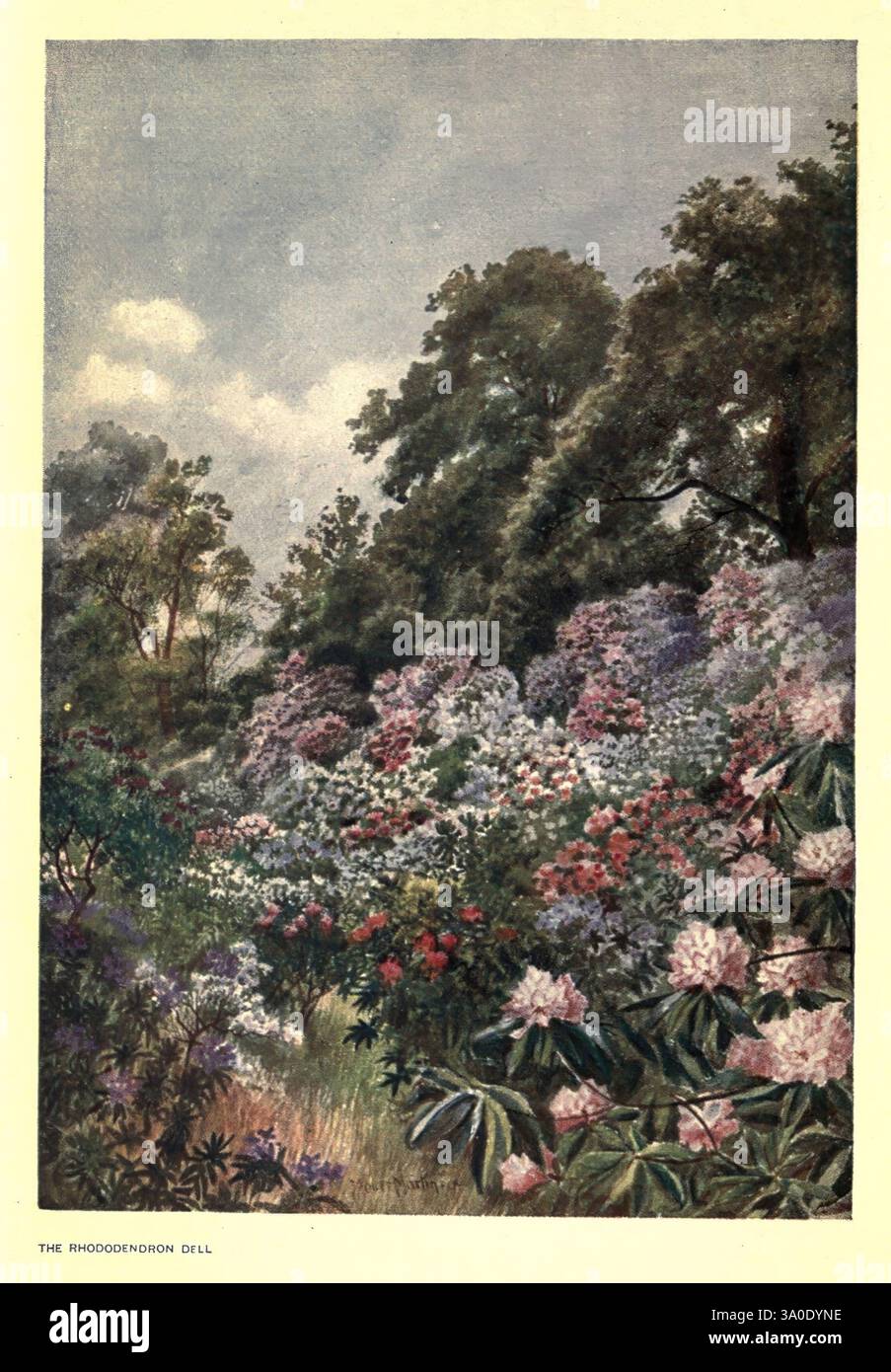 Touch of natural canopy hi-res stock photography and images - Alamy