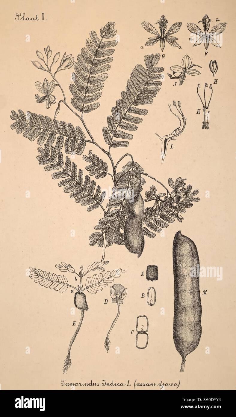 Annotations identify components hi-res stock photography and images - Alamy