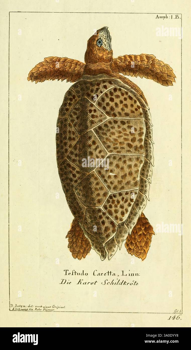 Gemeinnützige Naturgeschichte des Thierreichs bd. 4 plates Berlin, bei ...