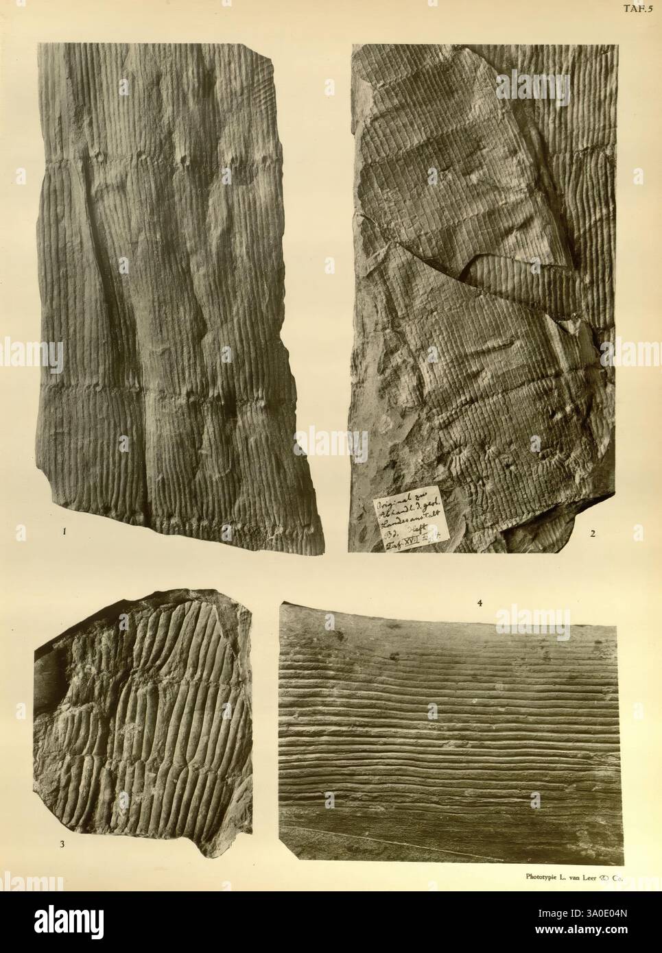 Curved designs creates hi-res stock photography and images - Alamy