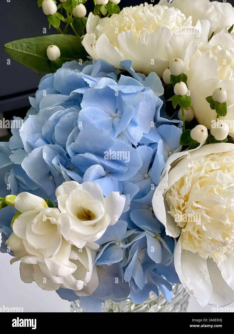 Top view beautiful peonies smartphone stock photos and images - Alamy