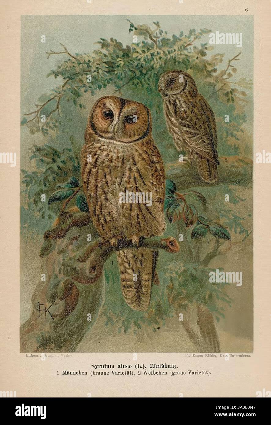 Surroundings exude hi-res stock photography and images - Alamy