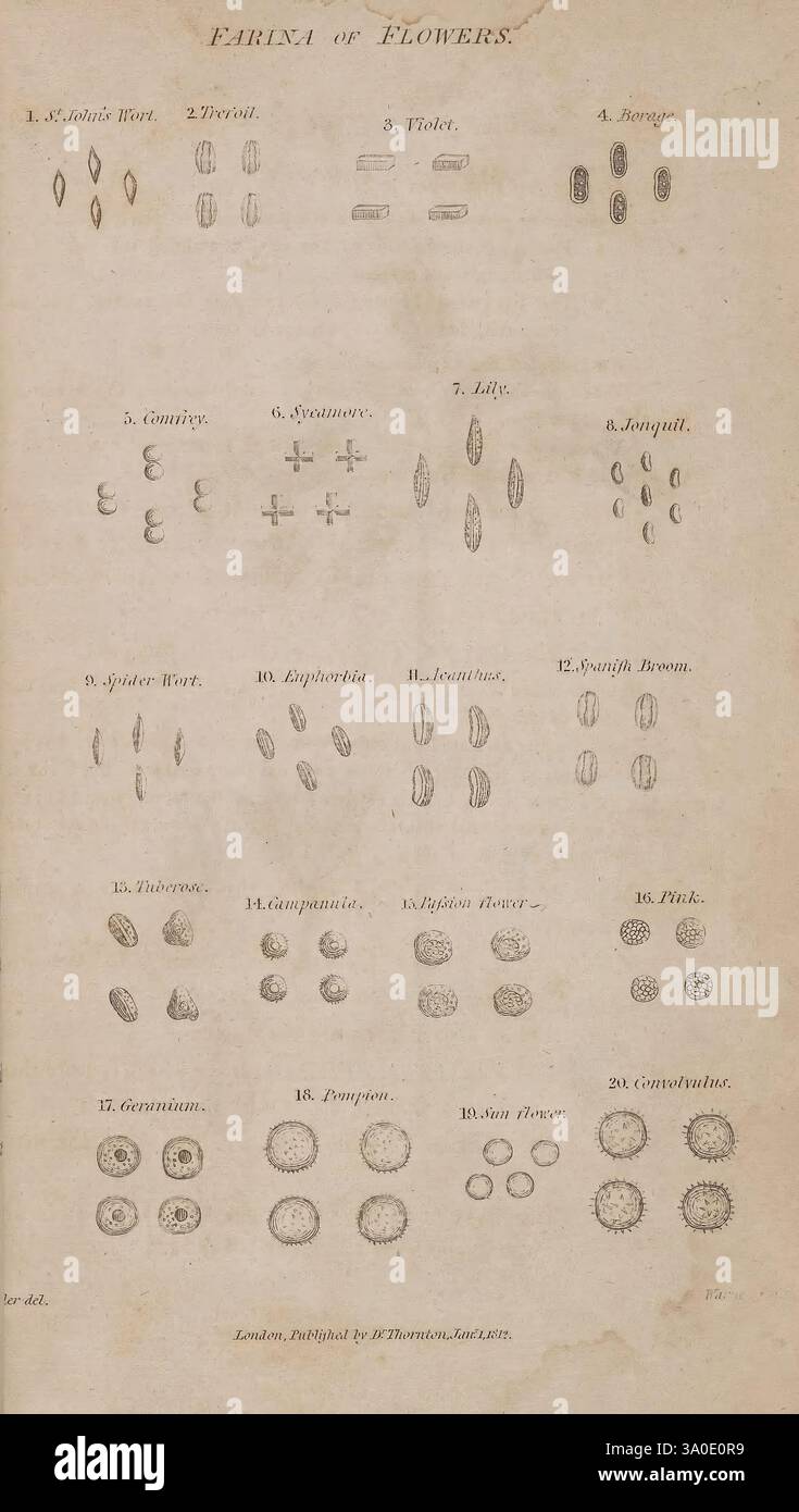 Elements of Botany, London, Printed for the author by J. Whiting, 1812 ...